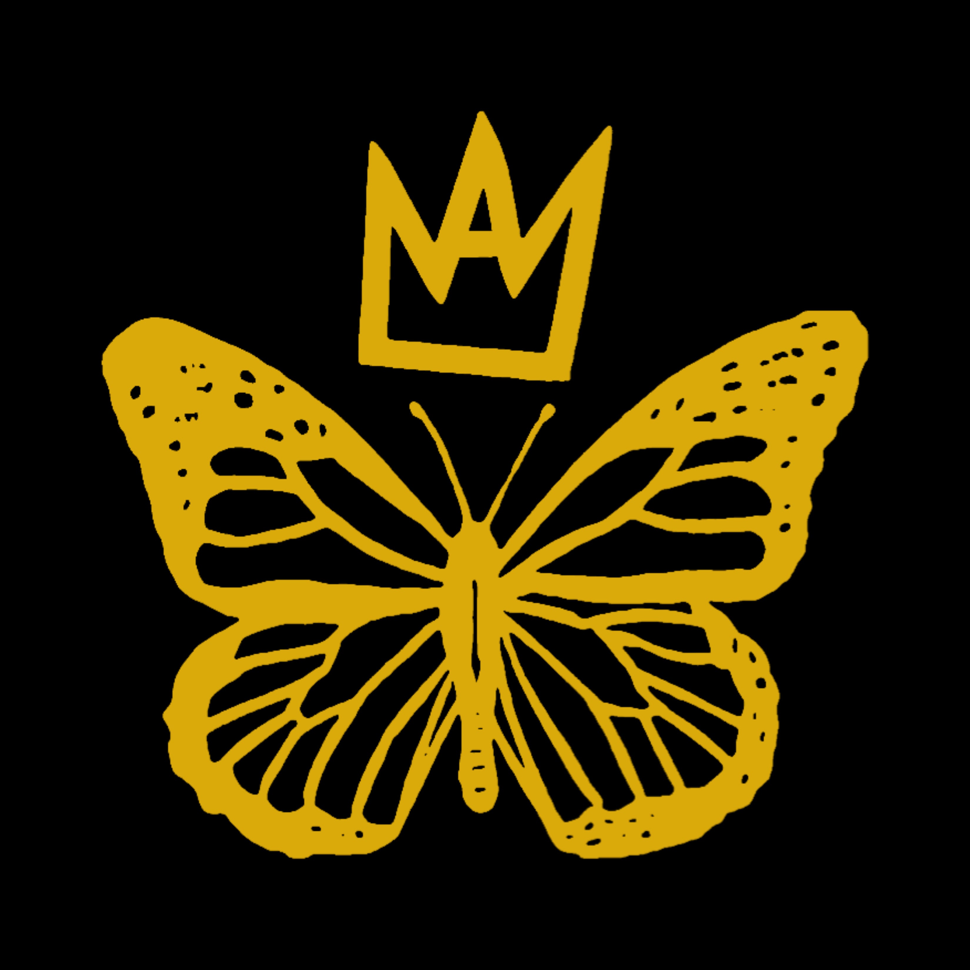 Products page – Team Nico Shop